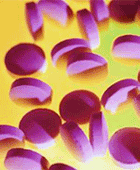 Index of /erji/image